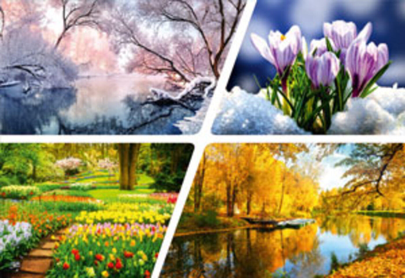 Przedszkole 11 Gdynia